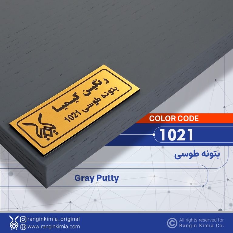 Gray Putty 1021 - رنگین کیمیا